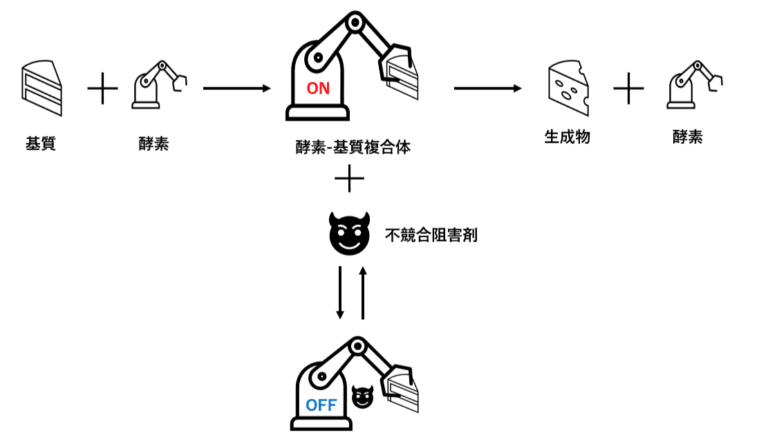 【競・不・非】酵素の阻害剤三種類の違いを例えを用いて解説！ 化学の地元
